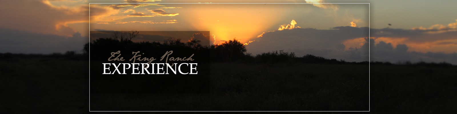 The King Ranch Experience - King Ranch Hunting