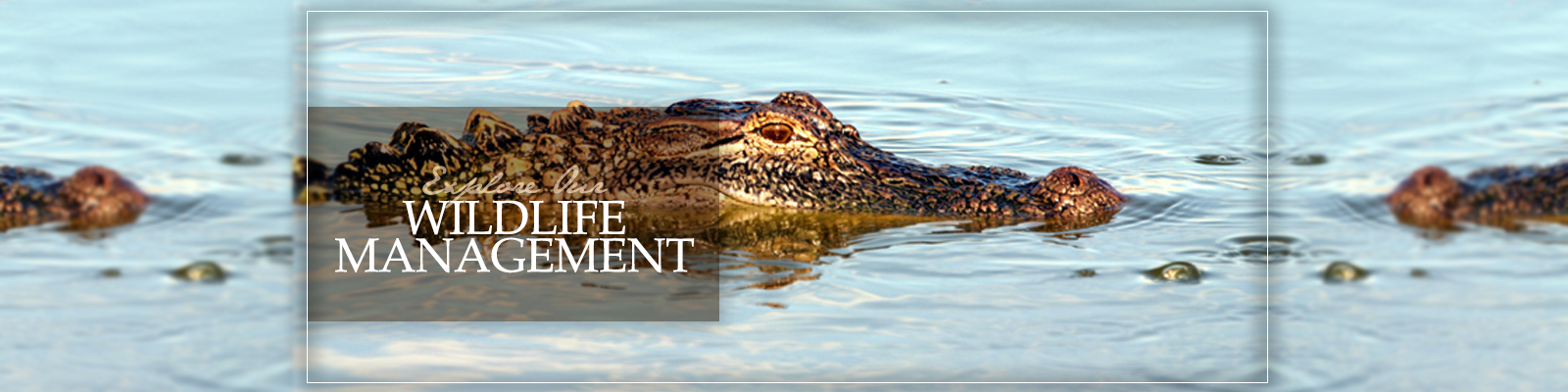 Wildlife Management - King Ranch Hunting