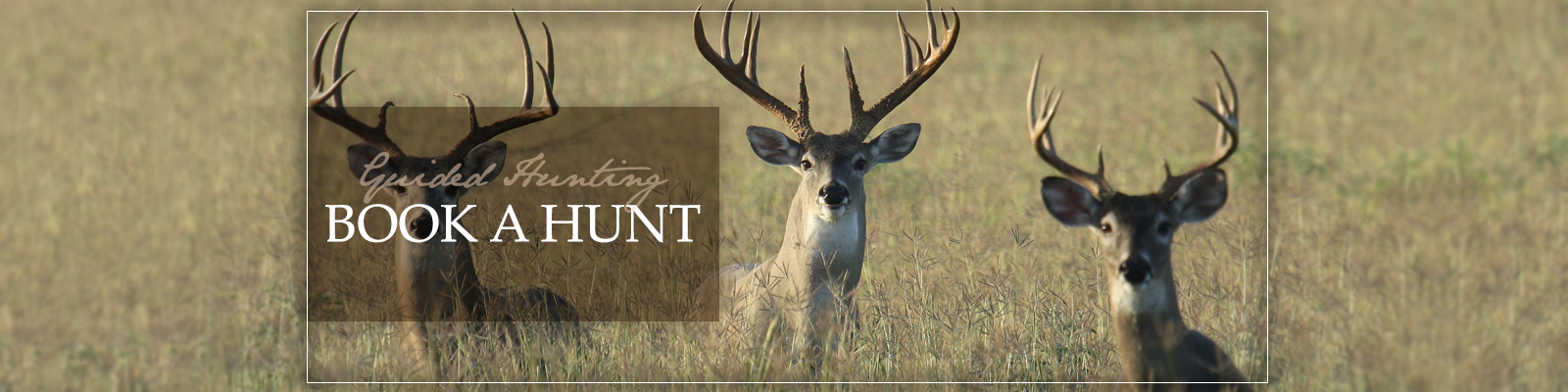Book A Hunt - King Ranch Hunting